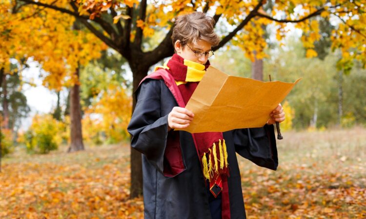 Harry Potter: How Supposed to Look Like? - Tech With Tech